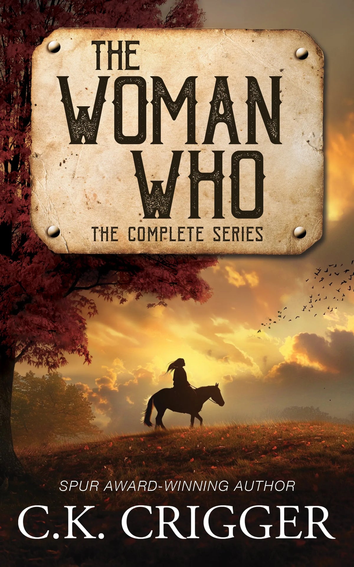 The Woman Who: The Complete Series (Books #1-#6) — Wolfpack Publishing