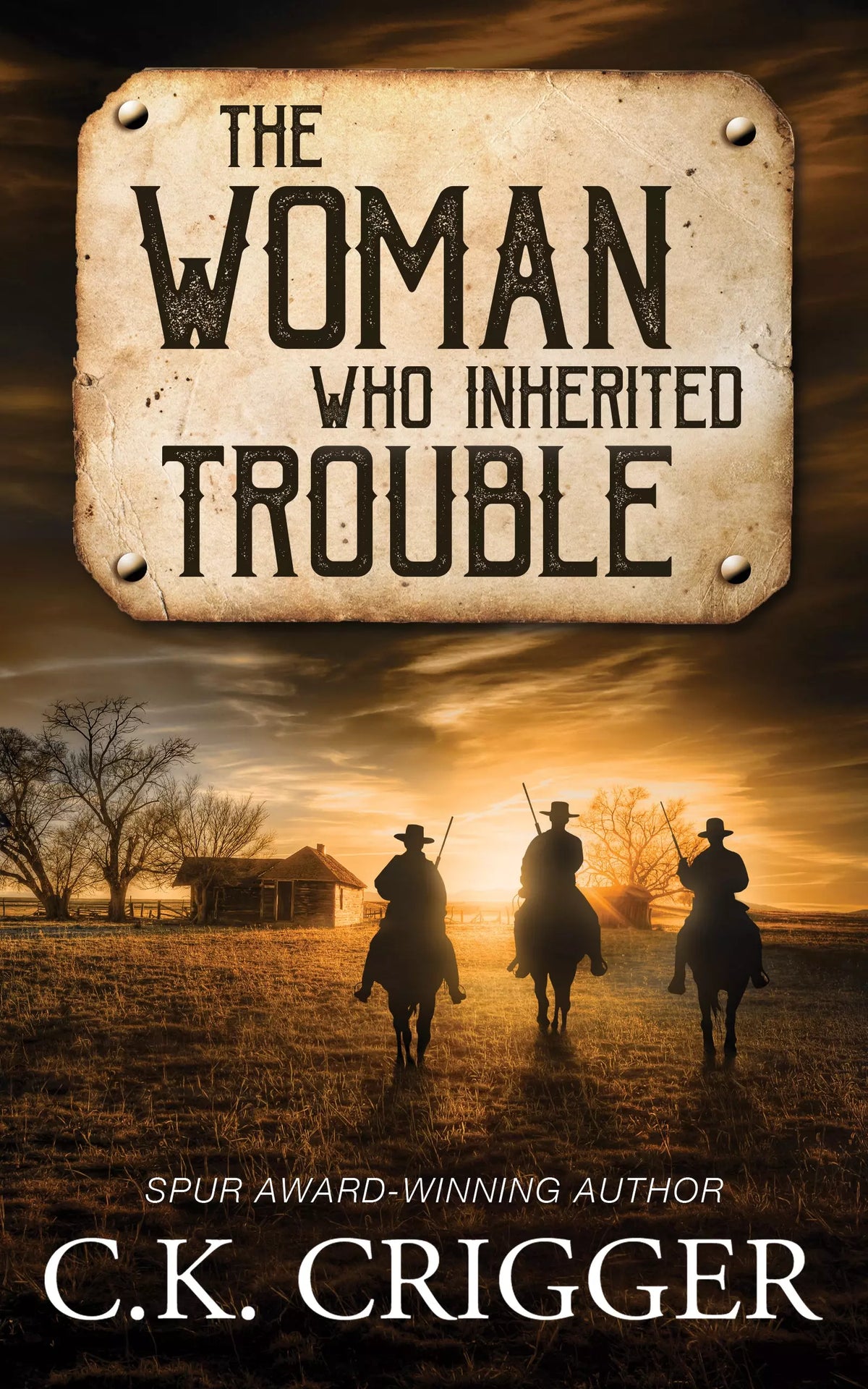 The Woman Who Inherited Trouble: A Western Adventure Romance (The Woma ...