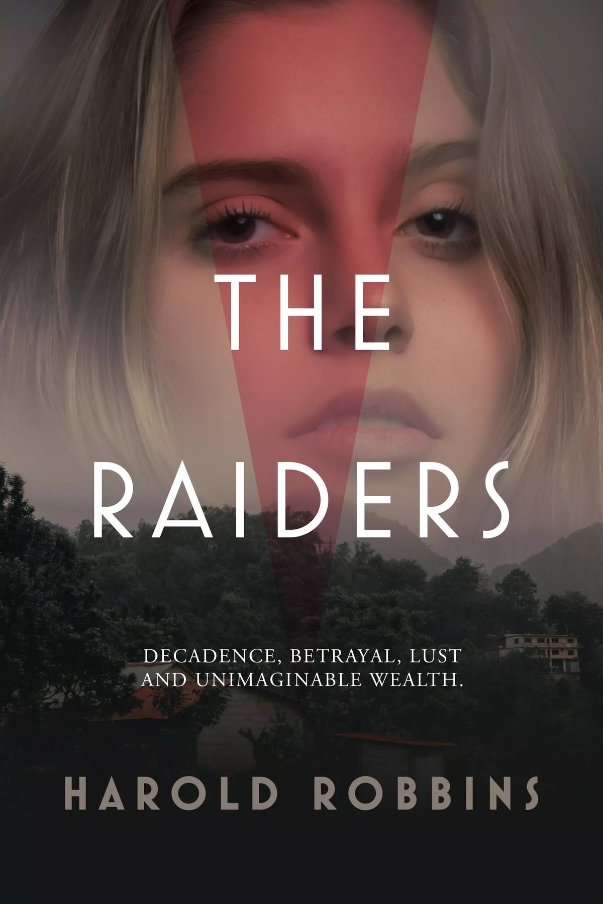 The Raiders — Wolfpack Publishing